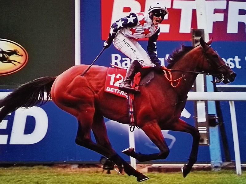 Adam McNamara's meteoric rise in the saddle - Limerick Live