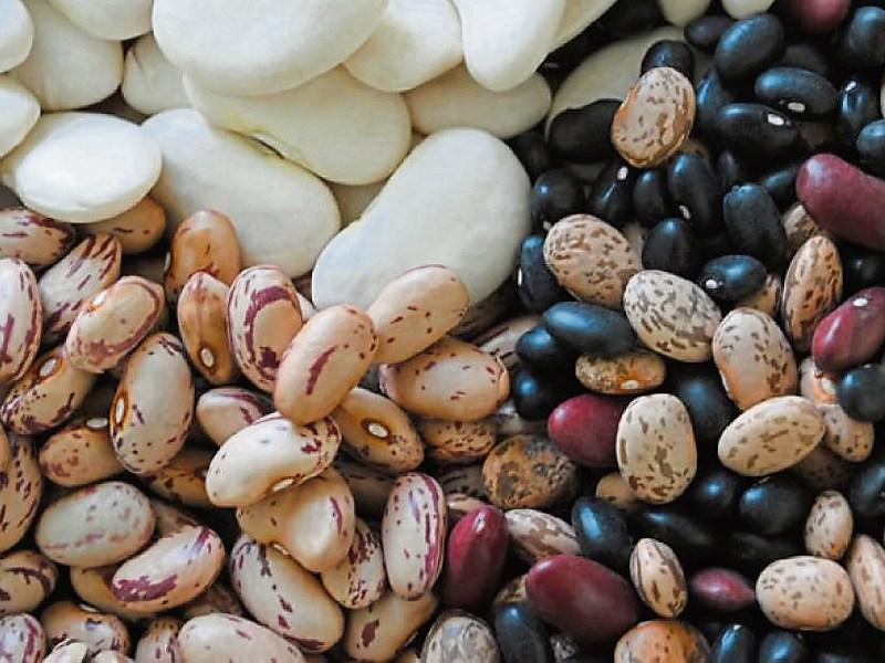 More beans please! - Limerick Live