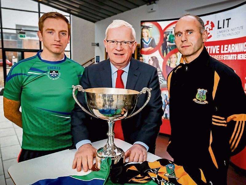 Murroe-Boher intent on immediate senior hurling return - Limerick Live