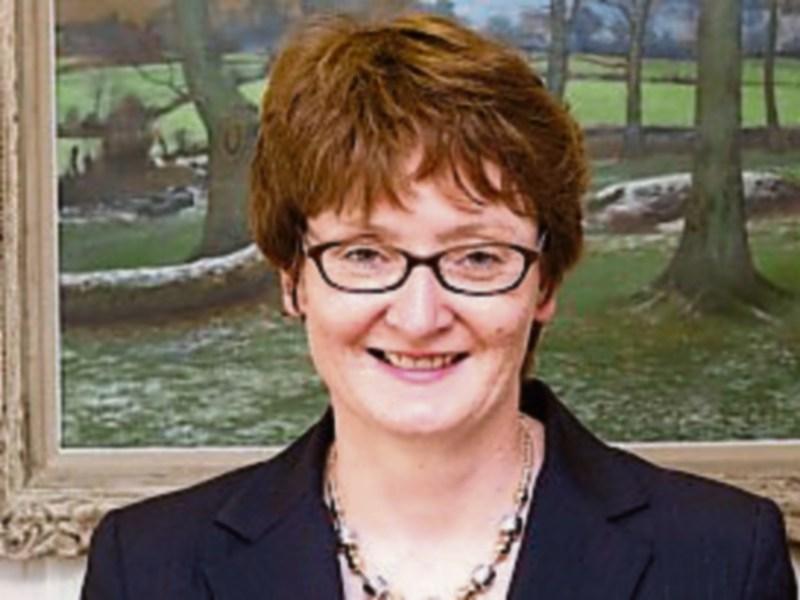 Limerick man was not insured when he collided with car while reversing ...