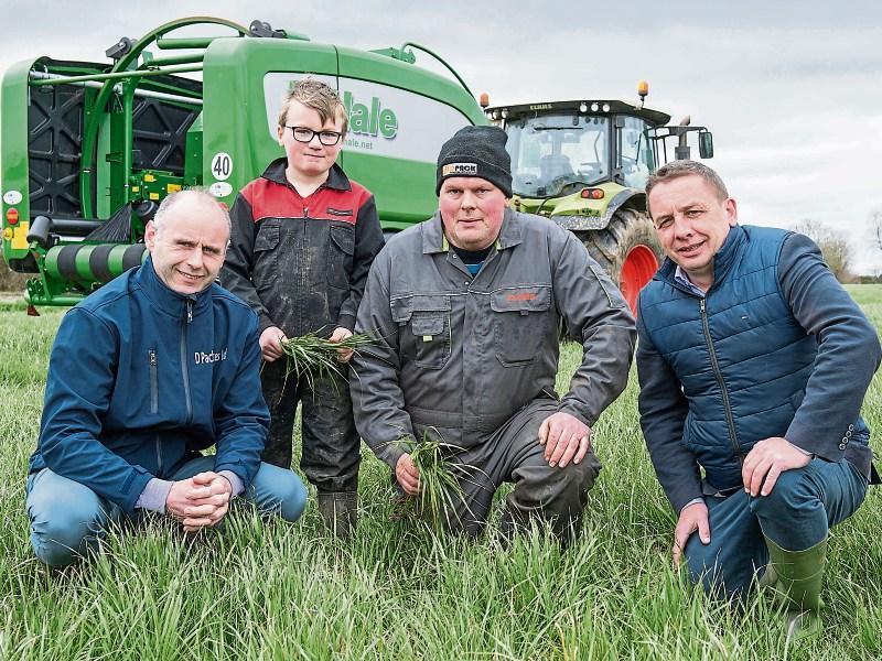 Farm Leader: Limerick's pit silage season gets into full swing ...