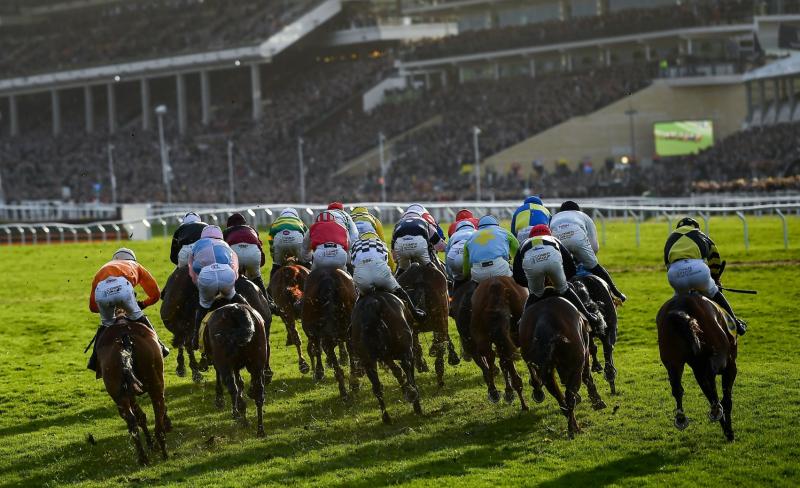 Cheltenham Festival 2023 - Day 2 Tips - Wednesday's Top Picks ...