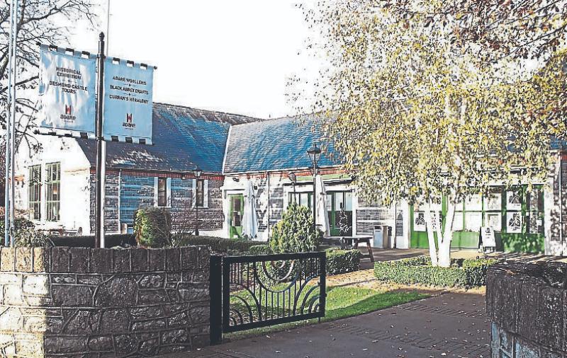 Disposal of heritage centre to Discover Limerick DAC proposed ...