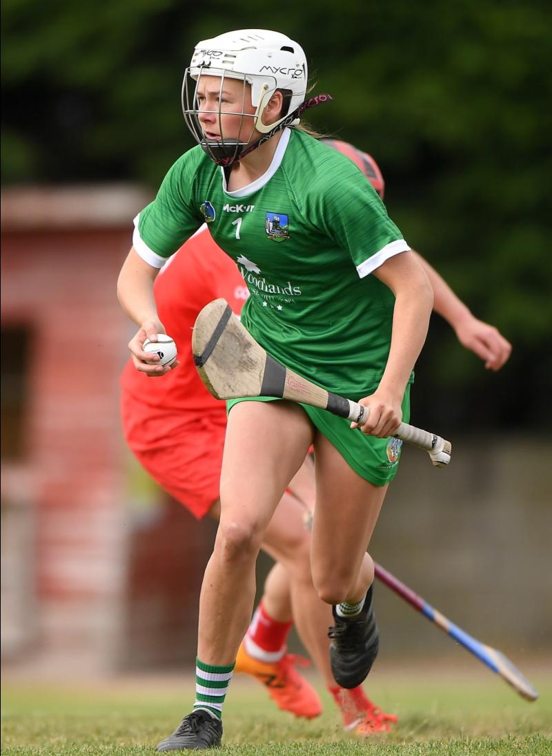 Talented Limerick camogie player signs for Treaty United - Limerick Live