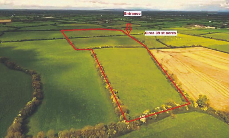 Deal struck on Limerick farm land for €1m - Limerick Live