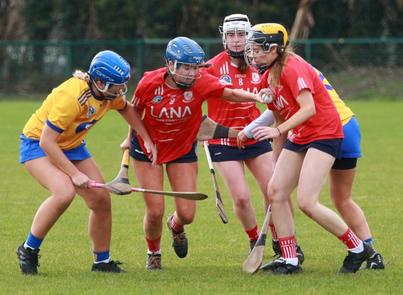 Three Limerick clubs in Munster GAA action at the weekend - Limerick Live