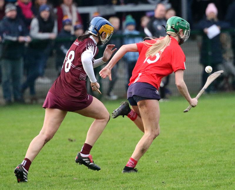 One win for Limerick clubs from Munster GAA weekend action - Limerick Live