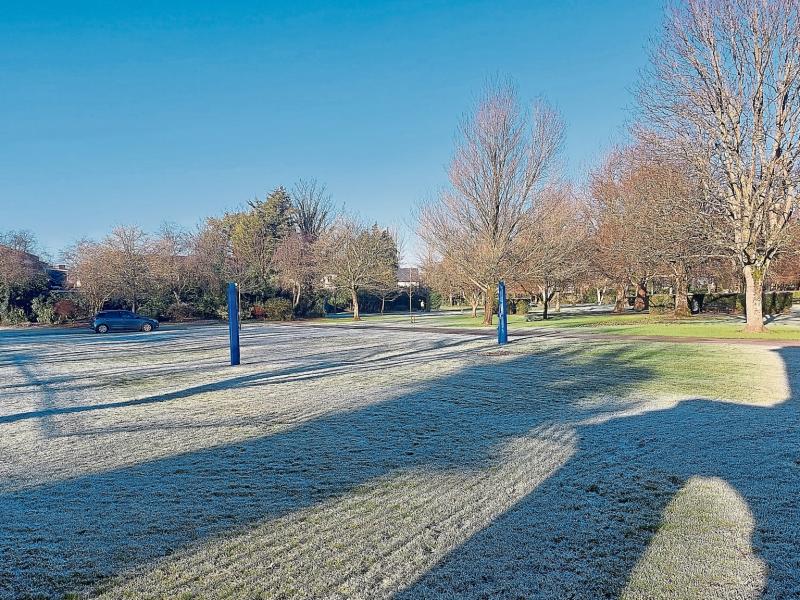 Council identifies land in Limerick city for two new dog parks ...