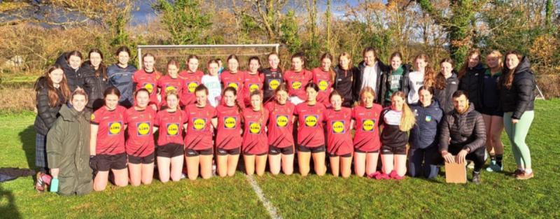 Limerick's John the Baptist senior girls in Munster Final action ...