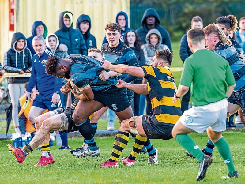 Limerick's six senior rugby clubs chase All-Ireland League wins ...