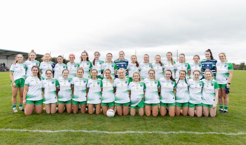 Shine names strong Limerick team for league semi-final with Antrim ...