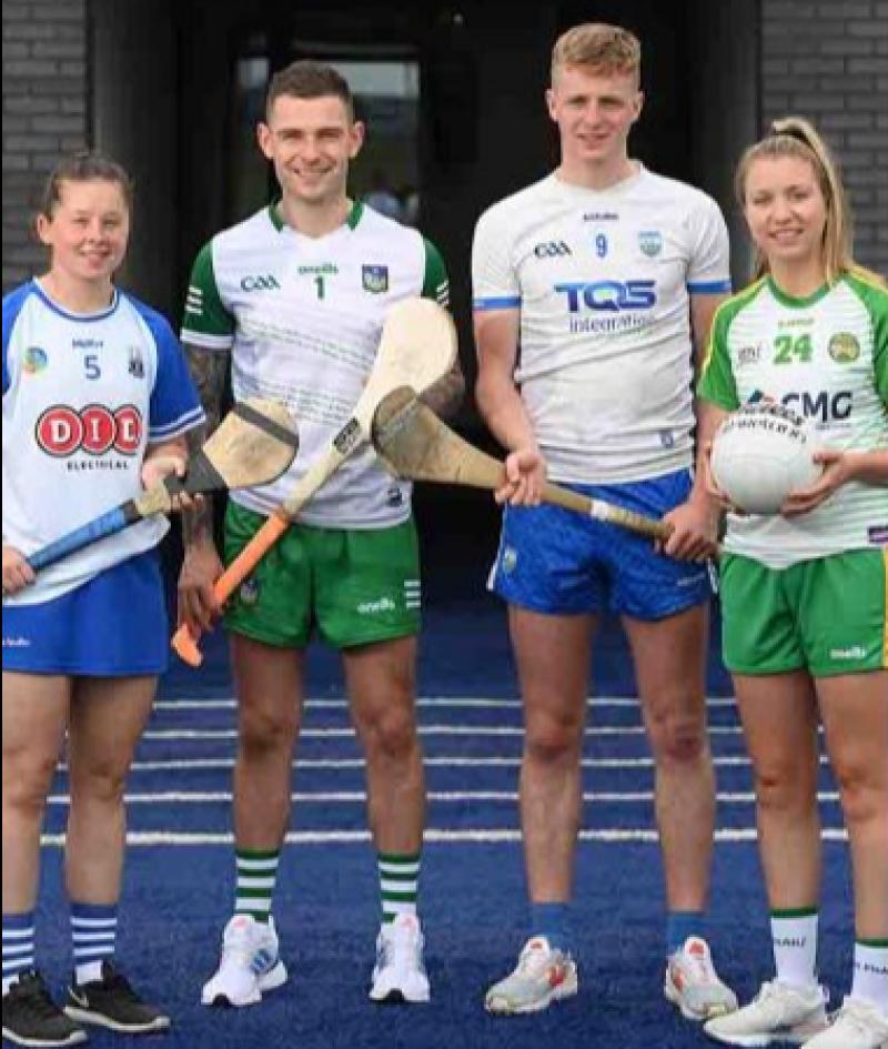 Limerick All-Ireland hurling winner helps launch new GPA scholarship ...