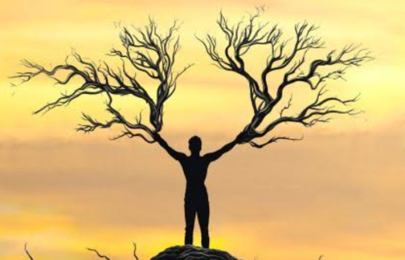 Anthology offering reflection of collective resilience to be launched ...