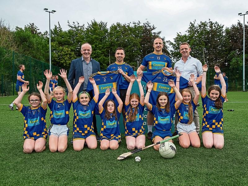 Limerick brothers hedge their GAA money by supporting clubs in rival ...