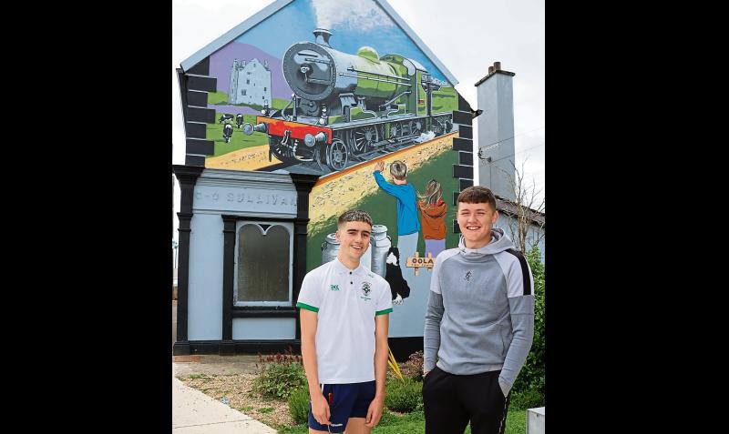 Limerick village takes a trip back in time with beautiful mural ...
