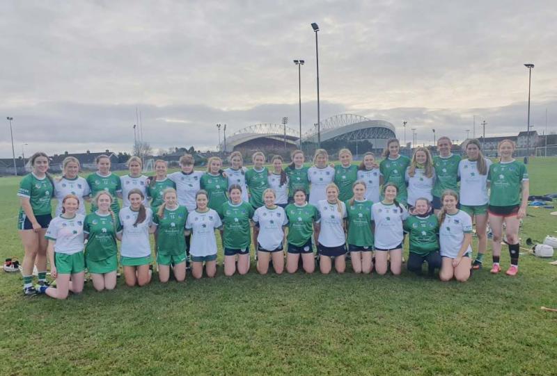 Limerick minor camogie team get championship underway against Offaly ...
