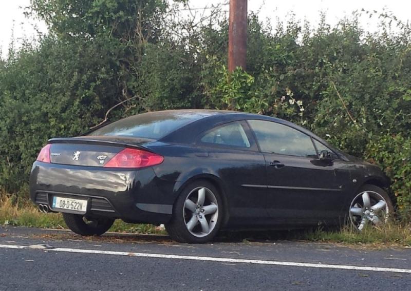 Pilot dies after car crash in Limerick - Limerick Live