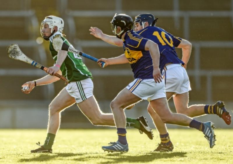 Limerick minor manager praises player’s maturity - Limerick Live