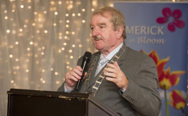 Limerick council leader criticised for trip to London - Limerick Live