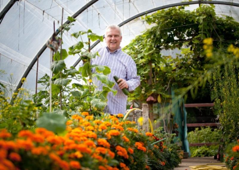 Limerick is all ‘abuzz’ with efforts to save bees - Limerick Live