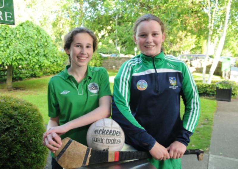 Manor Fields project driving ahead in Adare - Limerick Live