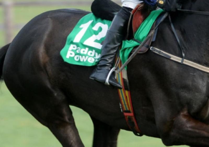Paddy Power Column: Seabass to be the catch of the day in Aintree ...
