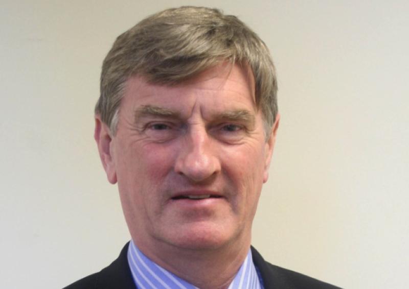 Opening of new businesses gives boost to County Limerick town ...