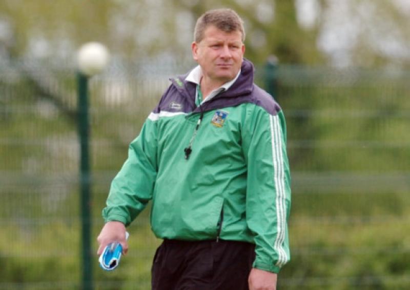 Hegarty gets Adare role in Limerick SHC - Limerick Live