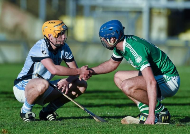 Martin Kiely Column - A Kilmallock win to rank with their previous ...