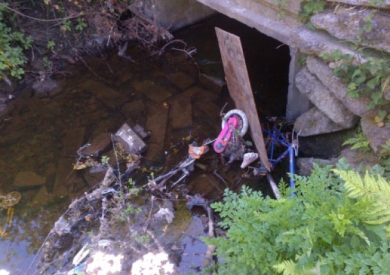 Bikes, cakes and carcasses dumped in ‘poisoned’ West Limerick river ...