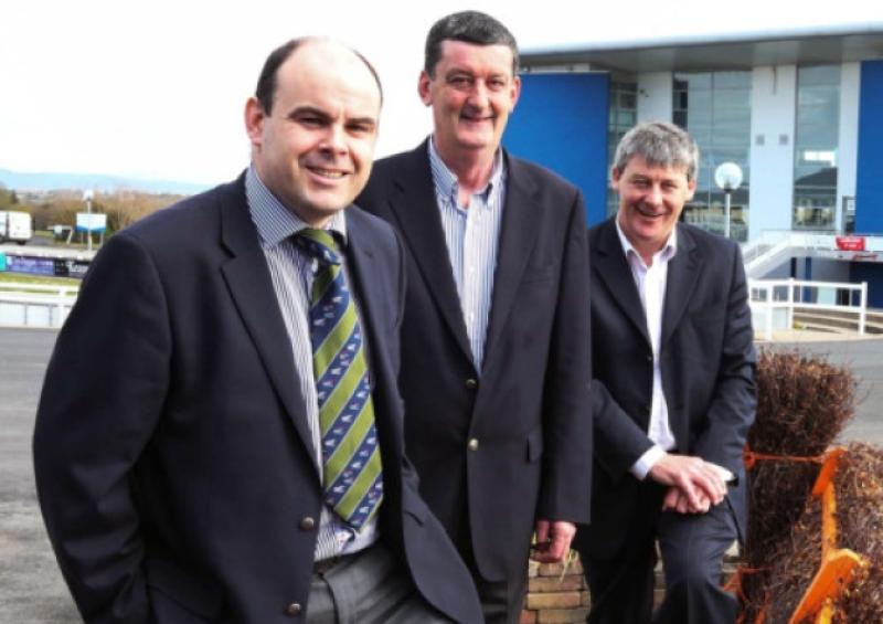 Cregan appointed to new Club Limerick - Limerick Live