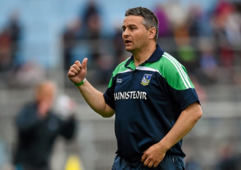 Limerick hurling review set to commence - Limerick Live