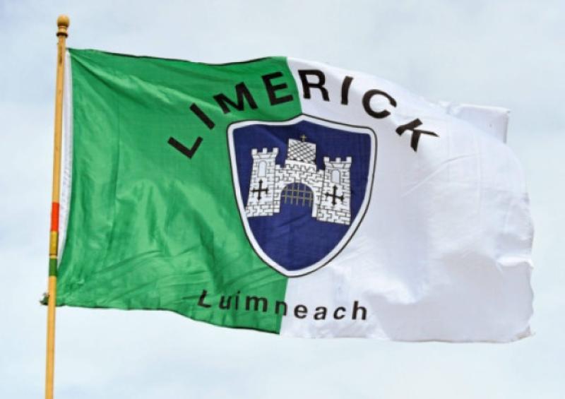 Limerick GAA Fixtures, April 11-17 - Limerick Live