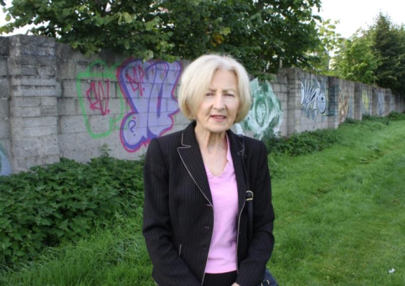 Graffiti ‘spreading like a virus’ through the Castletroy area ...