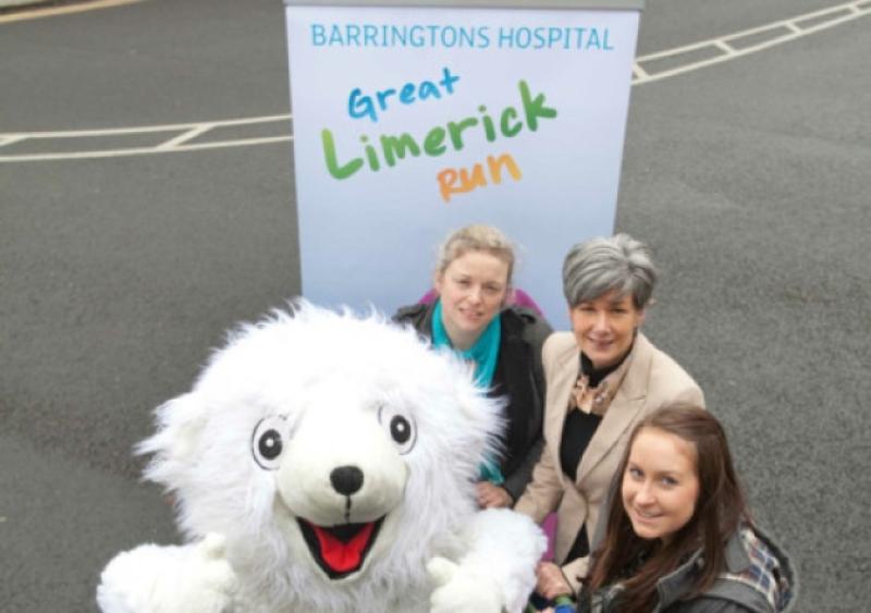 St Munchin’s resource staff to run for meals on wheels for elderly ...