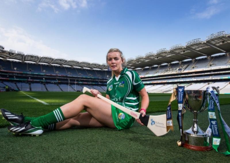 Limerick camogie captains wants ‘perfect end to perfect year ...