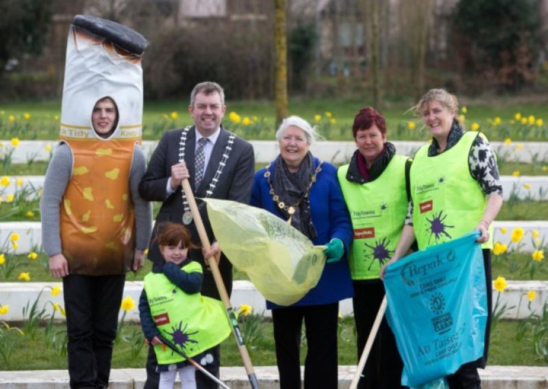 Limerick urged to ‘spring into action’ for campaign - Limerick Live
