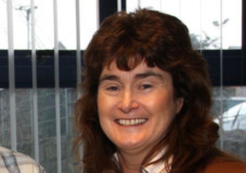 Limerick City Council to regulate paint sales - Limerick Live