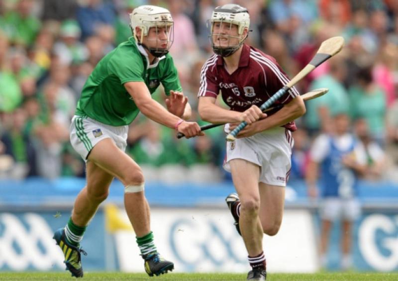 Limerick hope minor appeal will be fast tracked - Limerick Live