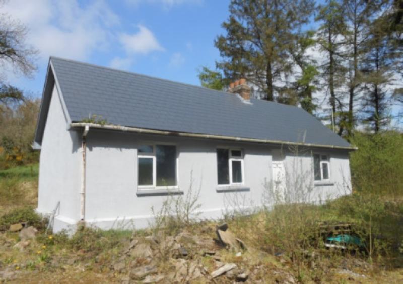 54 acre roadside holding for sale - Limerick Live