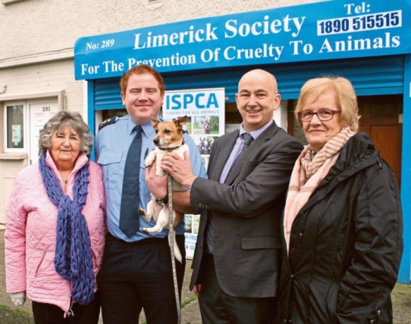 ISPCA appoints new inspector in Limerick - Limerick Live