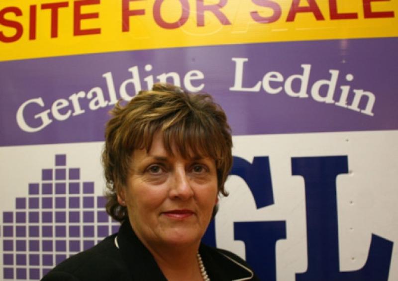 Fianna Fail seeks new blood to spur revival of fortunes in Limerick ...