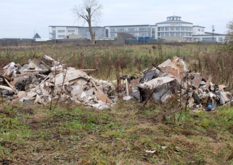 Toppins Field ‘should be turned into public park’ - Limerick Live