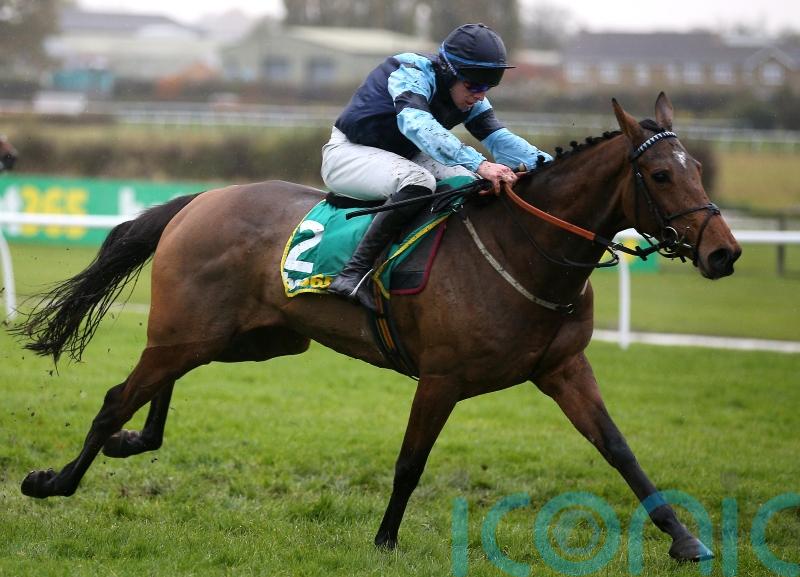 Cheltenham Festival winner Indefatigable bows out - Limerick Live