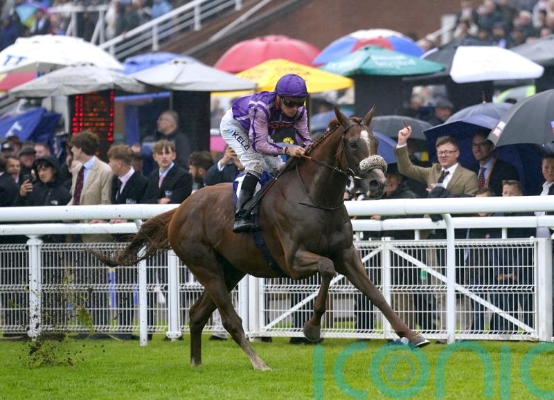 The Goat really is the greatest for Balding at Goodwood - Limerick Live