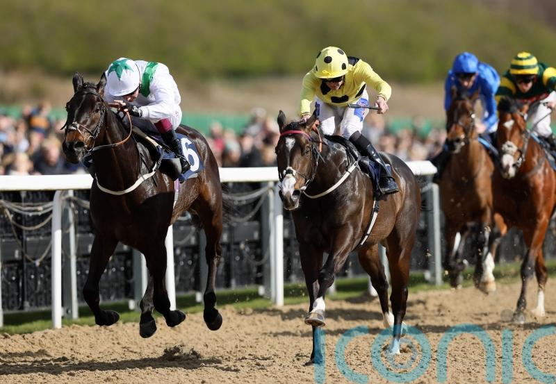 Cuban Tiger earns his stripes with Burradon victory - Limerick Live