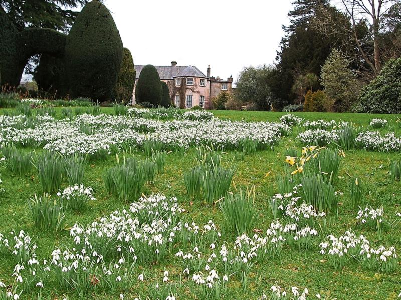 Start of spring marked by special festival - Limerick Live