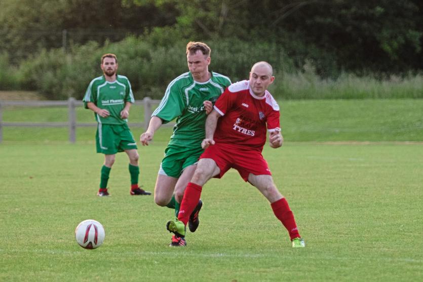 SLIDESHOW: Kildimo win Desmond League Cup in dramatic fashion - Photo 1 ...