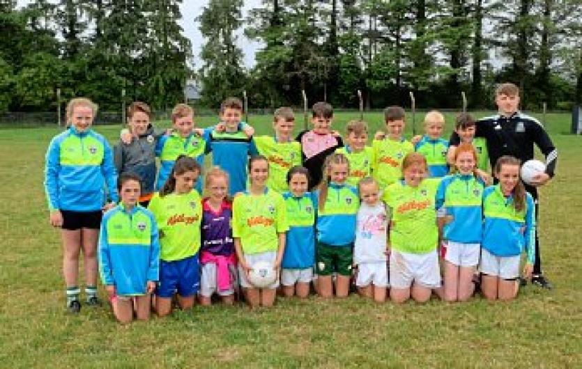 SLIDESHOW: Galtee Gaels Cúl Camp - Photo 1 of 7 - Limerick Live