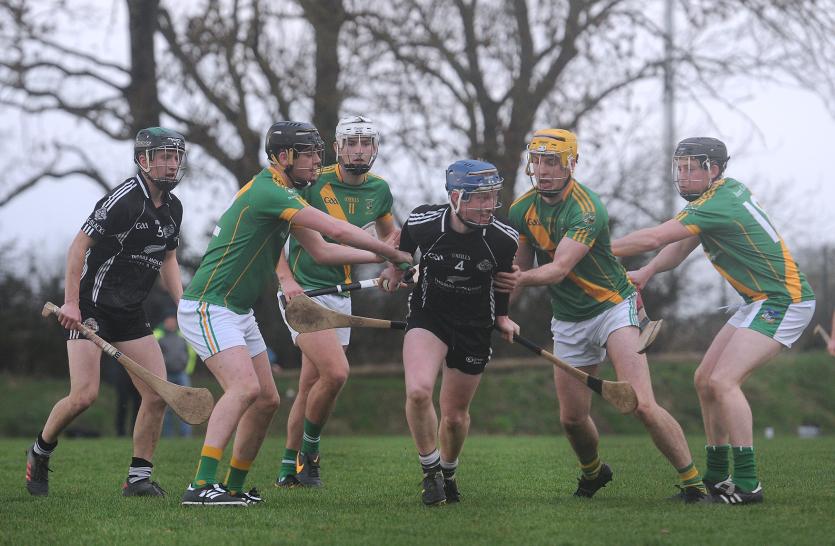 Knockainey claim Limerick County Cup title following Ahane win - Photo ...